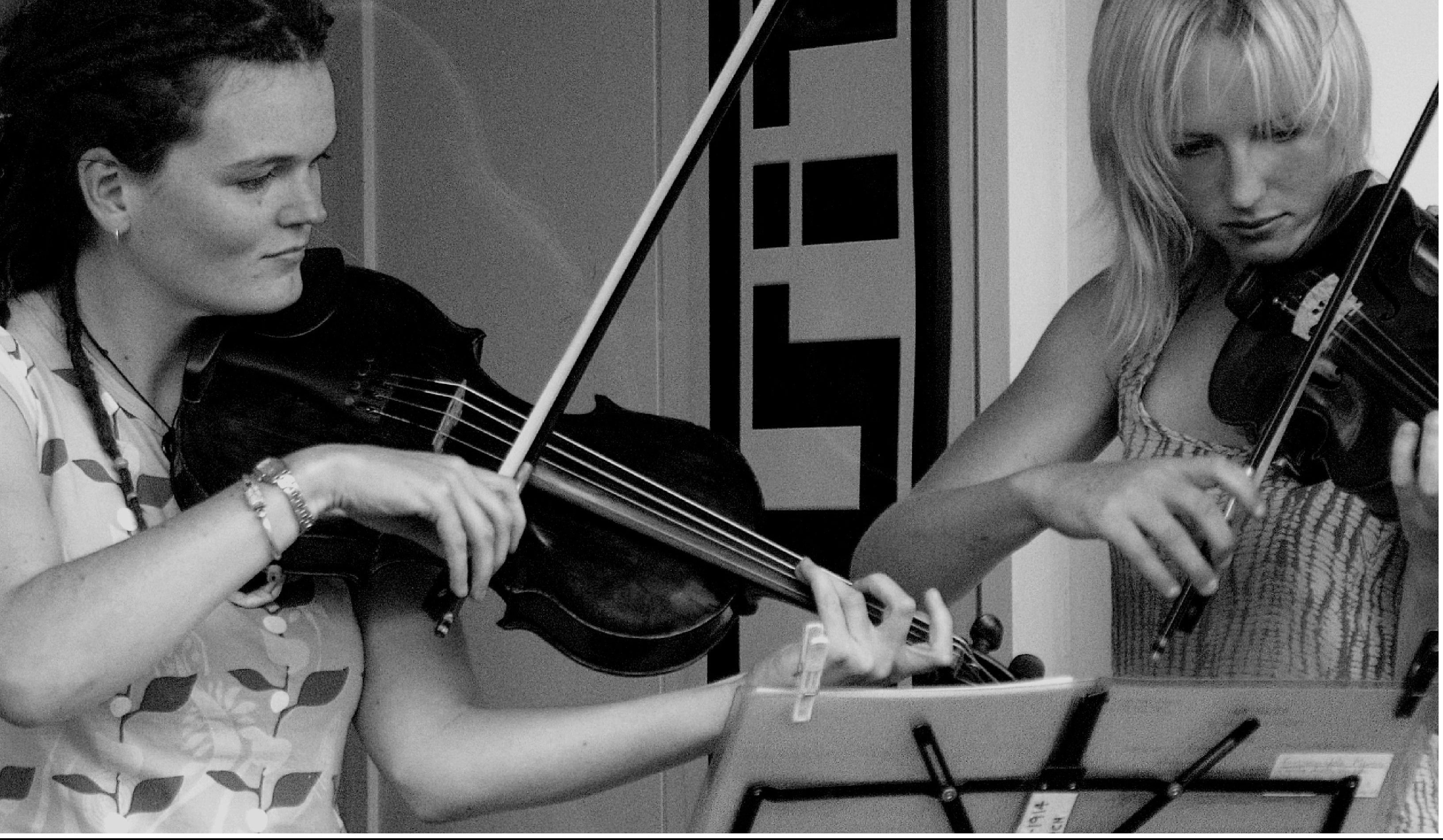 Artist Search - David Greer Music David Greer Music